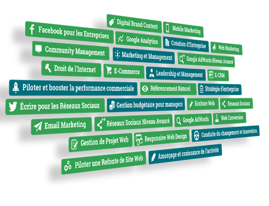 L’OCDE fait le bilan sur le retard dans la formation numérique ...